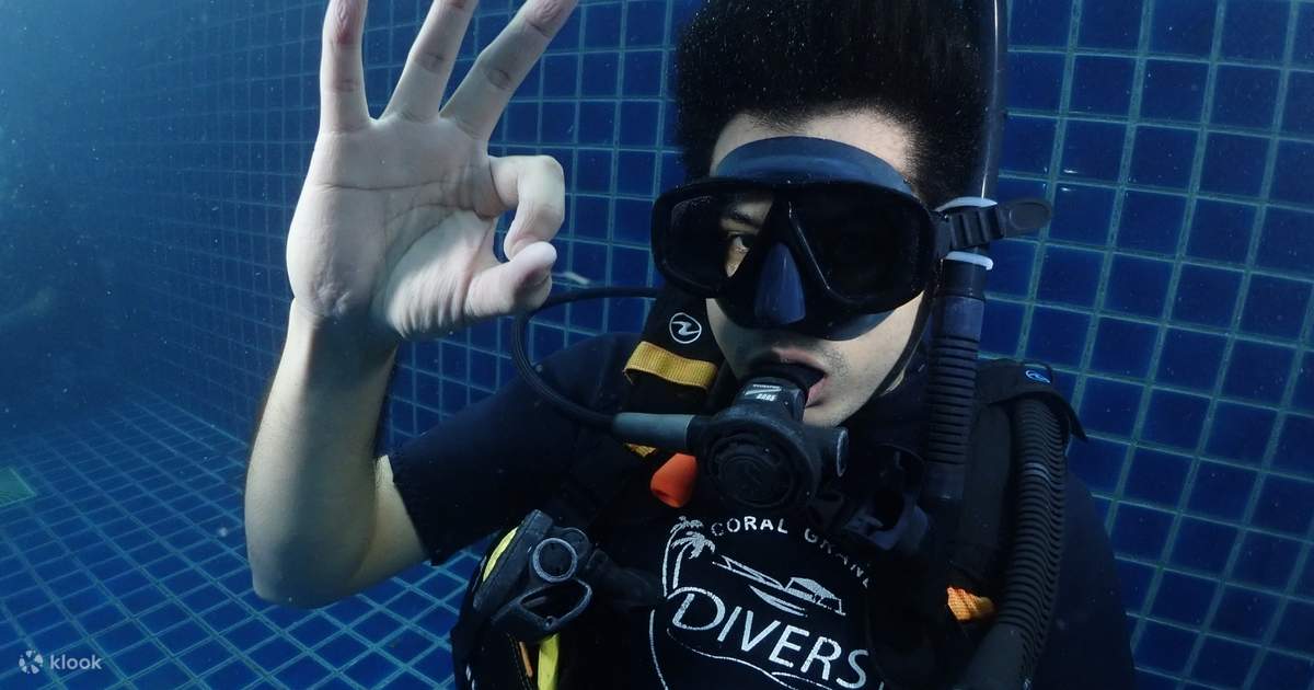 PADI 5스타 IDC 리조트와 함께 꼬따오에서 PADI 오픈워터 다이버를 경험해보세요 - 클룩 Klook 한국